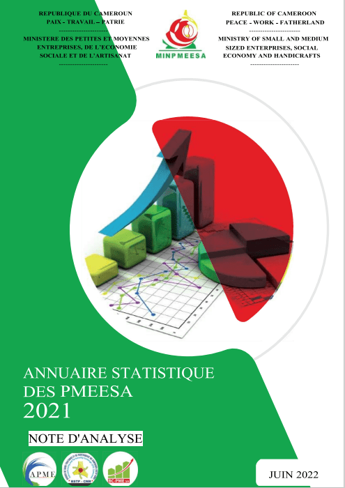 Statistiques - MINPMEESA