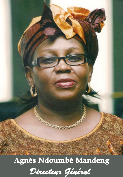 Banque des PME - MINPMEESA