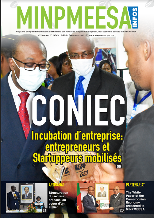 Our publications - MINPMEESA